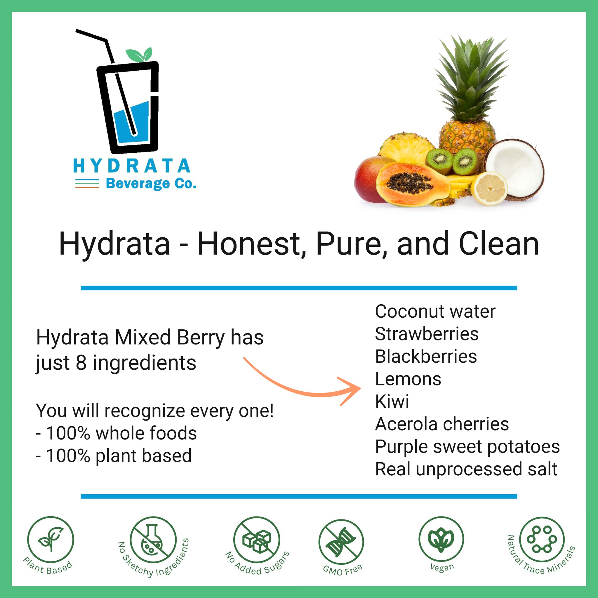 Hydrata Beverage Co.- Plant-based electrolyte drinks from whole-foods